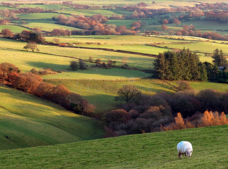 Autumn shadows stock image. Image of sunlight, patterns - 81638775