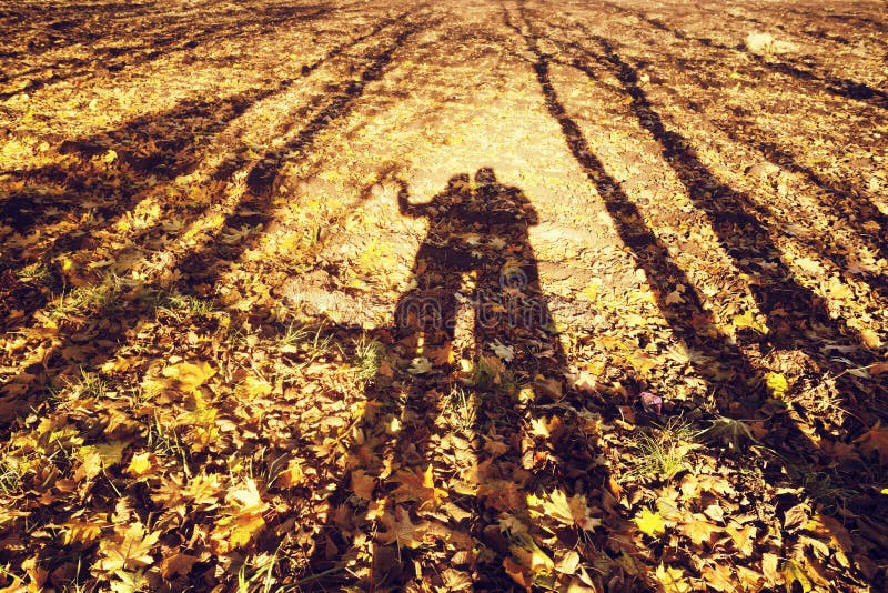 Autumn shadows landscape stock image. Image of tree, enjoy - 73378587