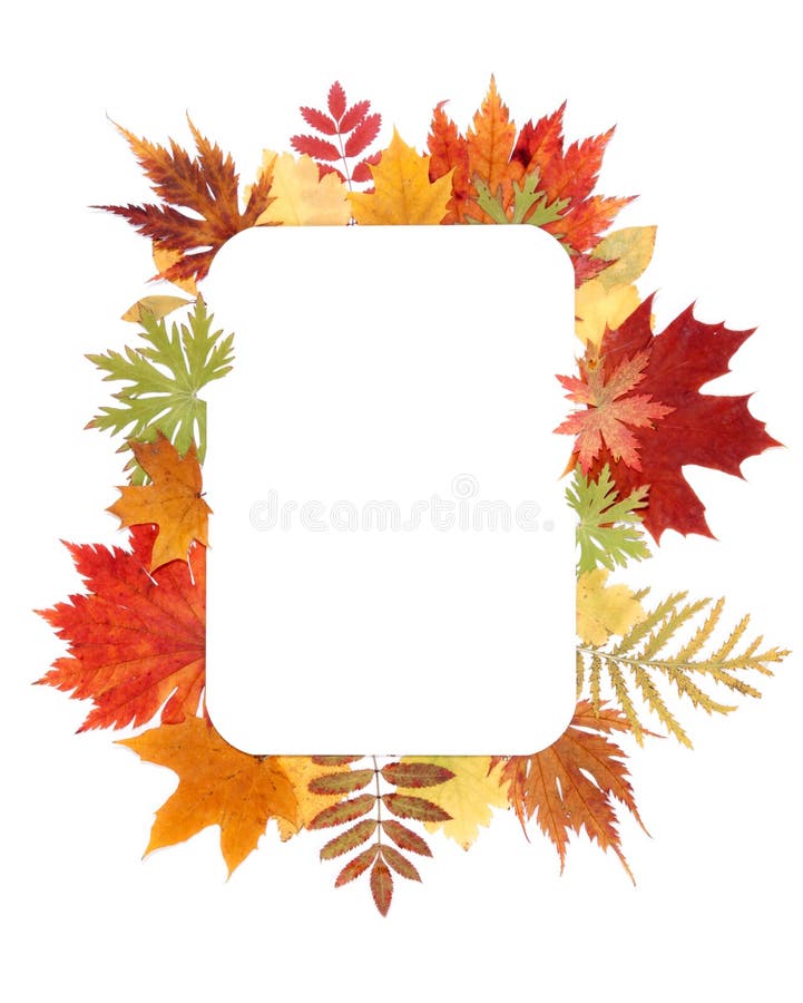Autumn sheet by frame stock image. Image of falling, nature - 16857627
