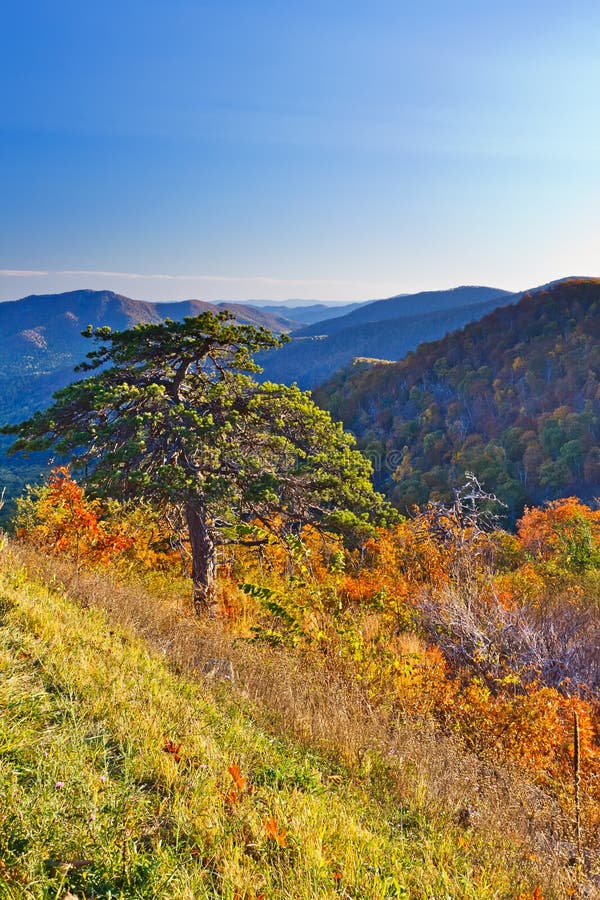 Autumn - Shenandoah Valley stock image. Image of american - 7026375