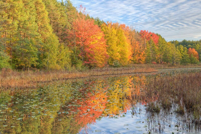 Autumn Shoreline stock image. Image of landscape, colorful - 6458961