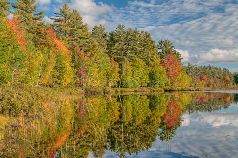 Autumn Shoreline stock photo. Image of lake, fall, shore - 16116334
