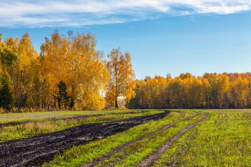 Autumn in Siberia stock image. Image of natural, beauty - 28197619