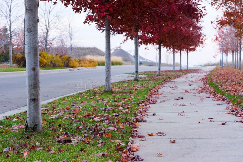 Autumn Sidewalk stock image. Image of countryside, autumn - 35910065