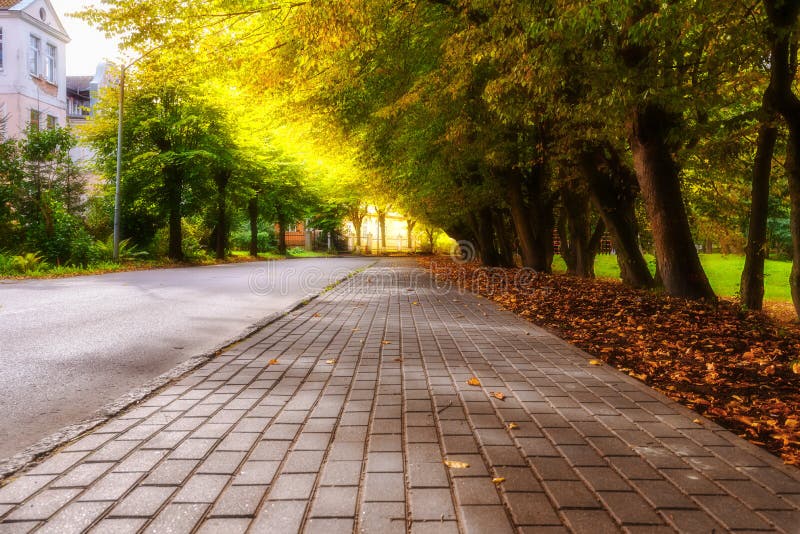 A Sidewalk With Trees On The Two Sides Stock Image - Image of foliage ...
