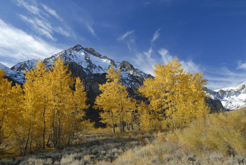 Autumn in Sierra Nevada Mountains Stock Photo - Image of california ...