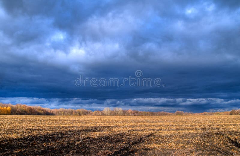 Autumn sky stock image. Image of land, grass, farm, cultivated - 12920879