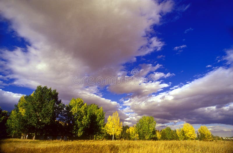 Autumn sky stock photo. Image of countryside, clouds, forest - 1447006
