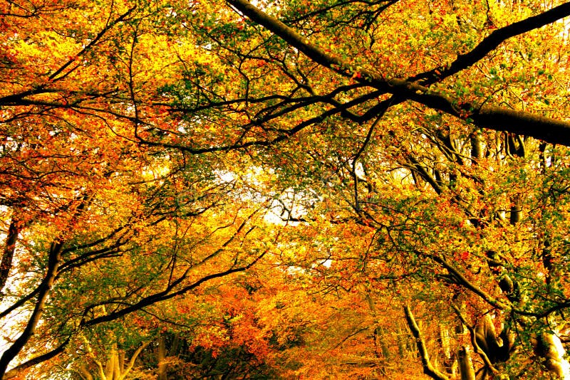 Autumn Sky Picture. Image: 3853864