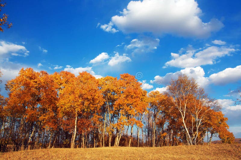 The autumn sky stock photo. Image of draw, hill, asia - 5612670