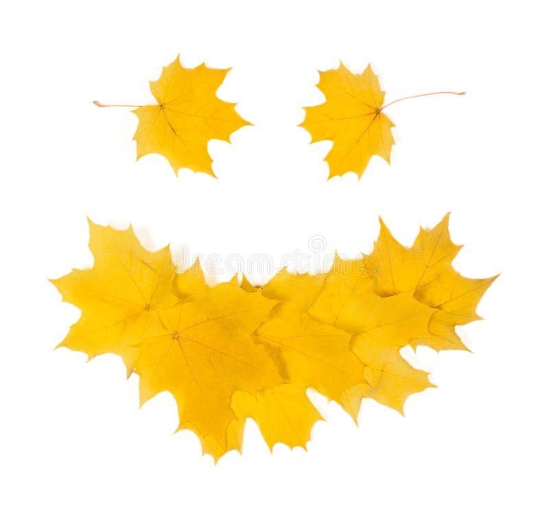 Autumn smile stock image. Image of garden, color, foliage - 21628577