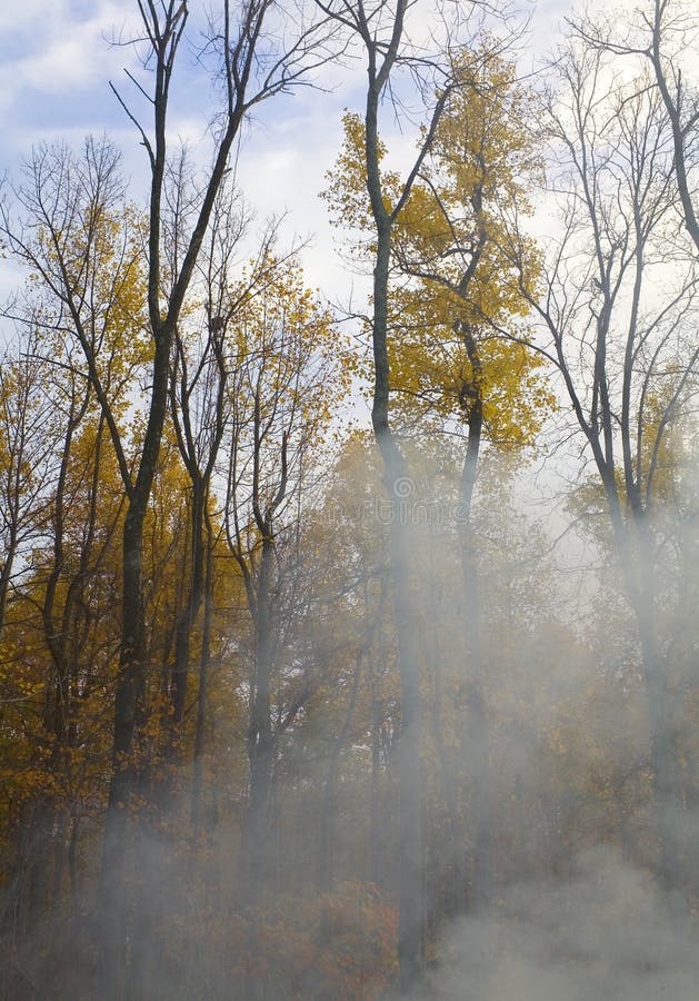 Autumn smoke stock photo. Image of yard, work, brown - 10736764