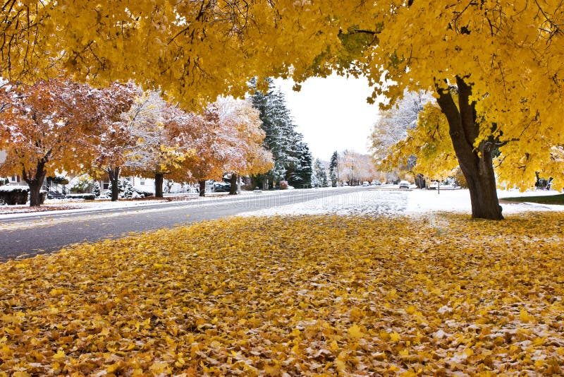 Autumn Snow stock photo. Image of green, hiking, outdoor - 16900398