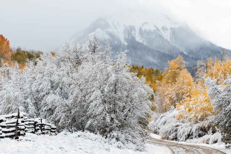Autumn Snow stock photo. Image of last, landscape, pine - 29276524
