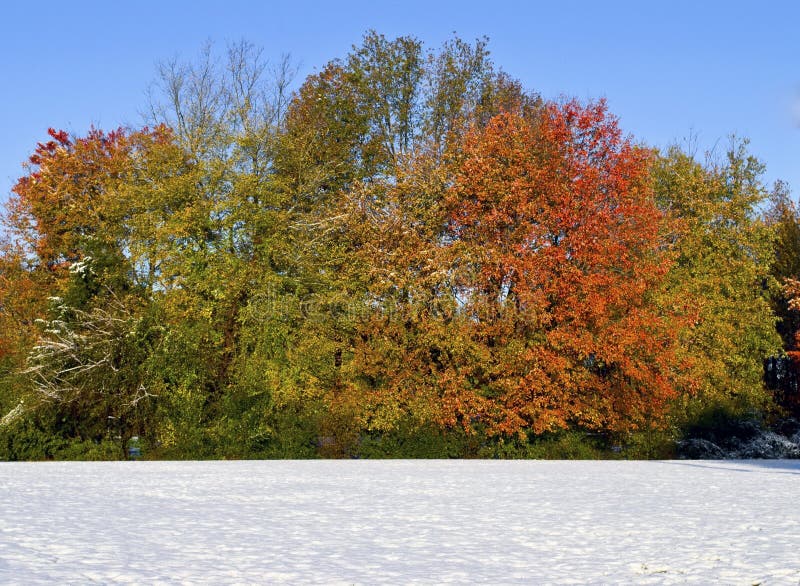 Autumn Snow Landscape stock image. Image of landscape - 21931599
