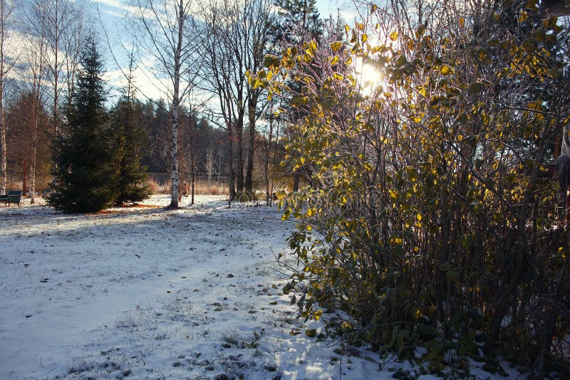 Autumn Snow Park stock photo. Image of nature, natural - 56949580