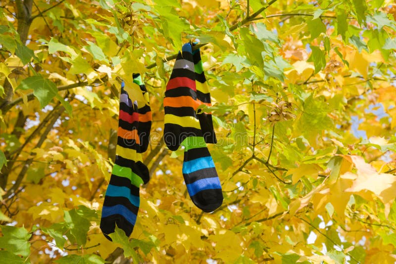 Autumn socks stock image. Image of hang, socks, beauty - 11134213