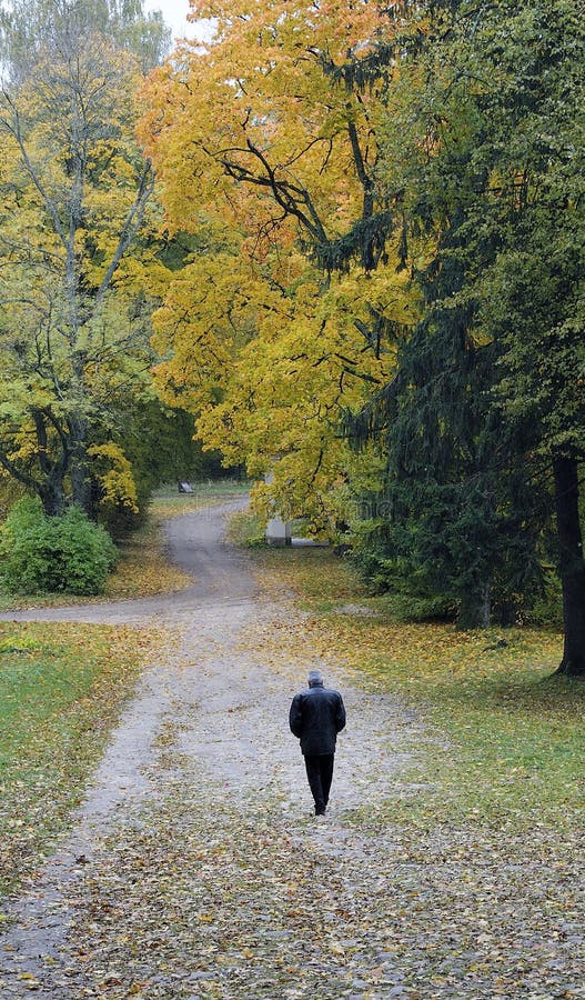 Autumn solitude stock photo. Image of autumn, leaf, loneliness - 12422082