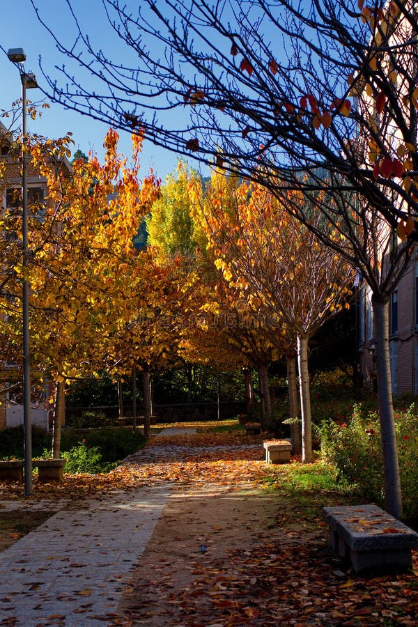 Autumn in Spanish Escorial stock image. Image of trees - 95946053