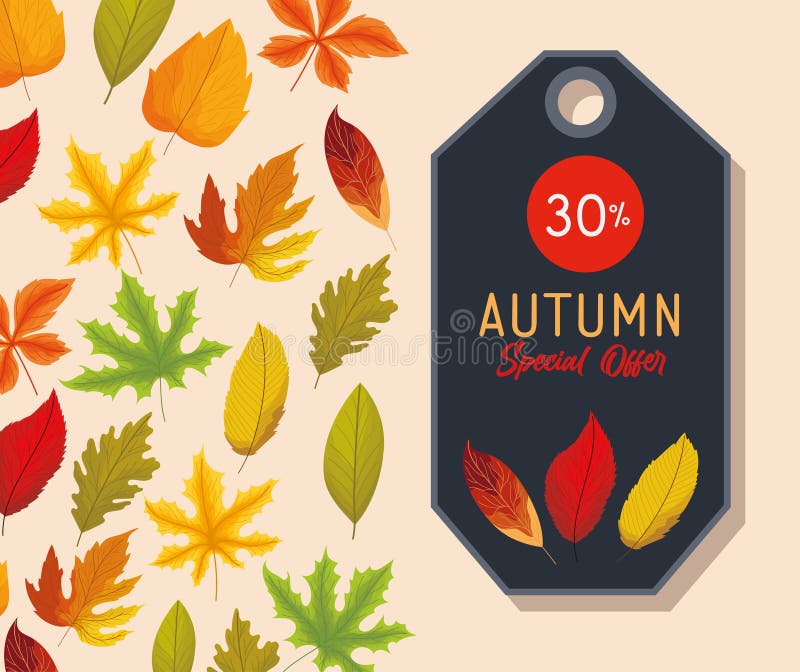Autumn special offer label stock vector. Illustration of merchandise ...
