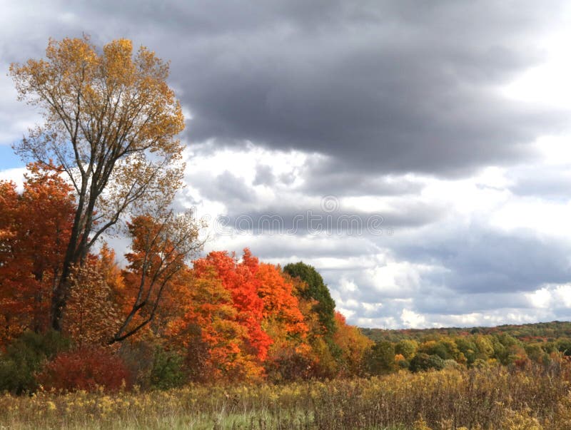 Autumn Splendor in Ohiopyle State Park Stock Photo - Image of state ...