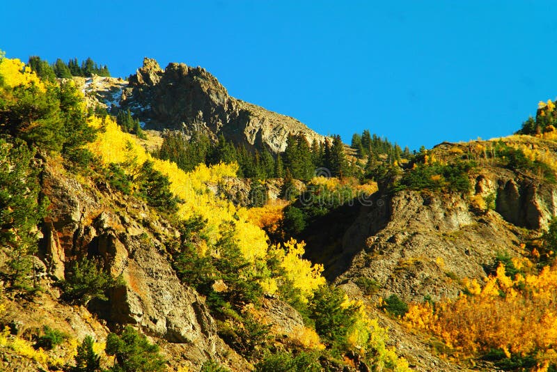 Autumn Splendor stock image. Image of fall, forrest, beds - 28384575