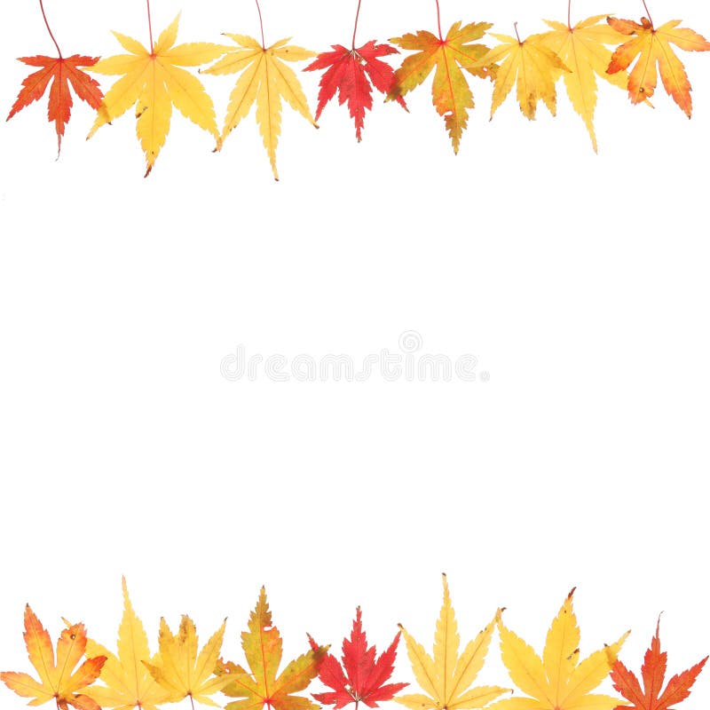 Autumn square frame stock photo. Image of autumn, border - 6939264