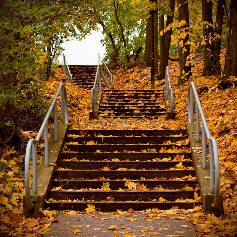 Autumn stairs stock image. Image of recreation, trees - 34059805