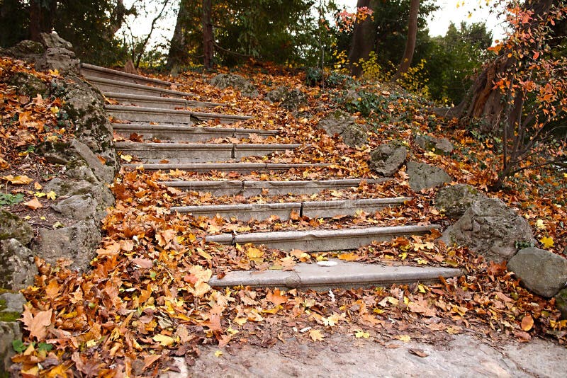 Autumn stairs stock image. Image of plant, fall, stairs - 44289141