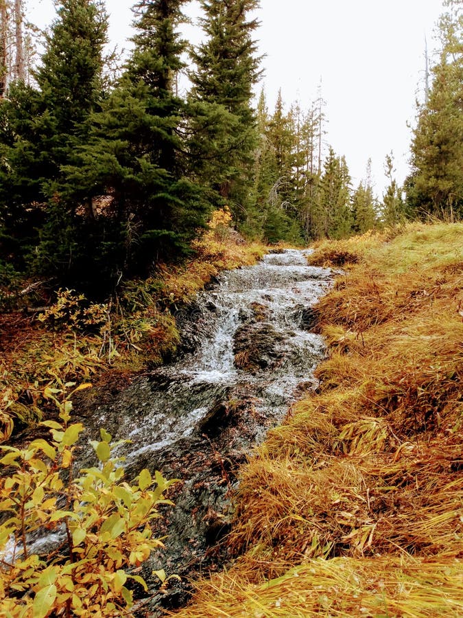 Autumn steam fall weather stock image. Image of nature - 231629637