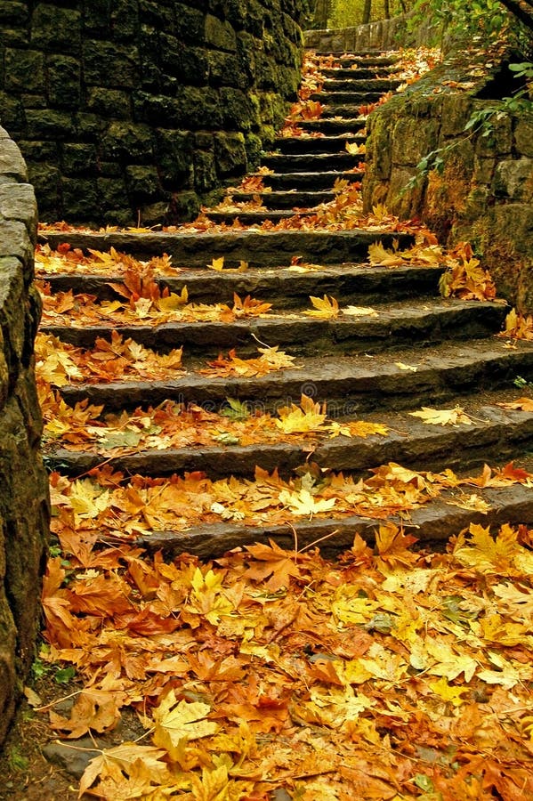 Nature s Staircase stock photo. Image of magical, israel - 2657732