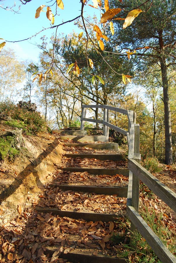 Autumn steps stock image. Image of lonely, background - 68309089