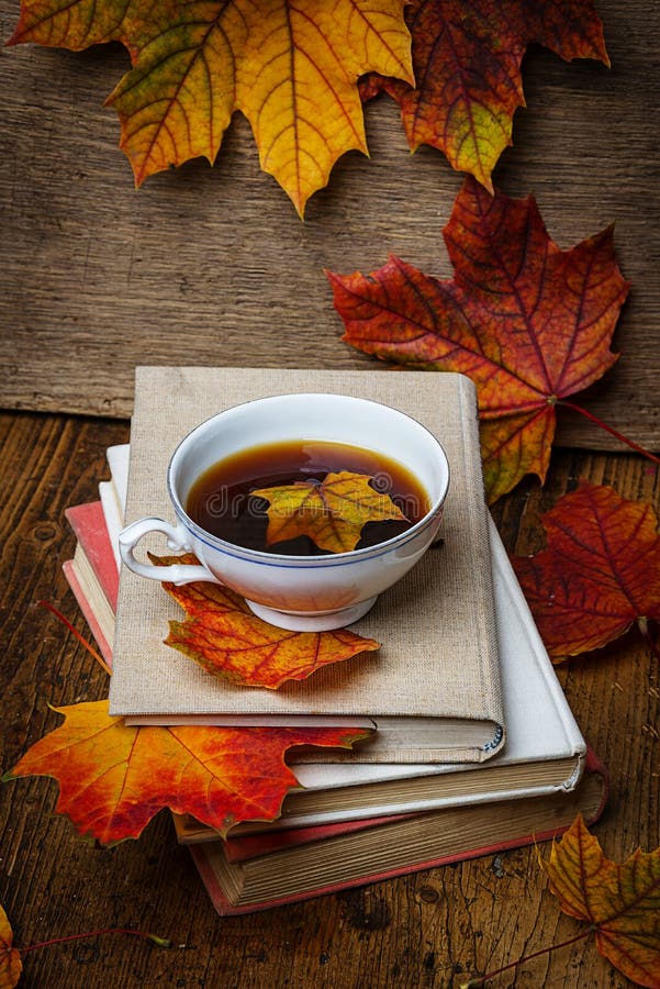 Autumn Tea stock photo. Image of fall, english, time, autumn - 1502100