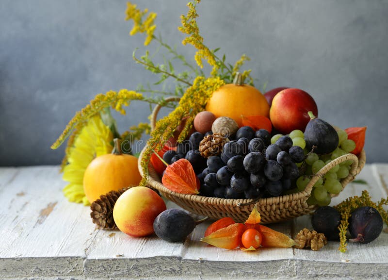 Fruit organic harvest stock photo. Image of healthy - 125689542