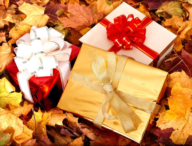 Autumn Still Life with Group Gift Box. Stock Image - Image of outdoor ...