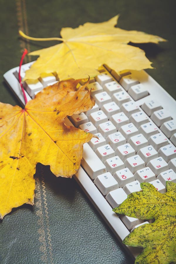 Autumn Still Life. Keyboard and Maple Leaves Stock Photo - Image of ...