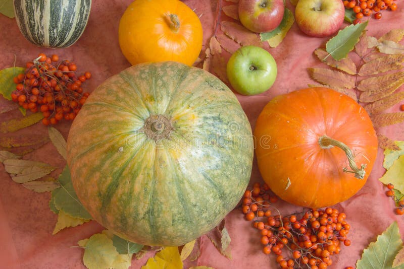 Autumn Still Life with Pumpkins and Apples Stock Image - Image of ...
