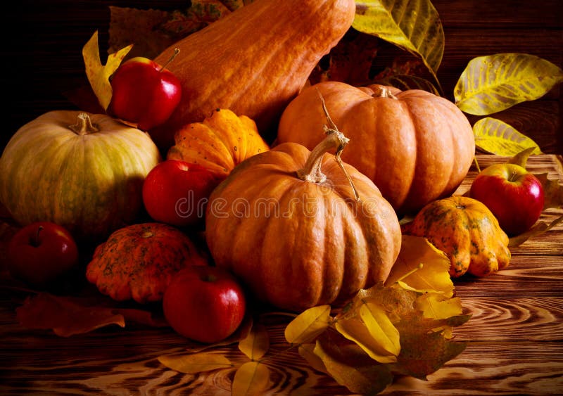 Autumn Still Life with Pumpkins, Apples Stock Image - Image of life ...