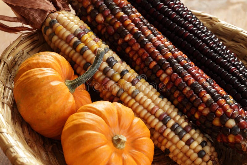 Autumn still life stock photo. Image of corn, closeup - 32523320