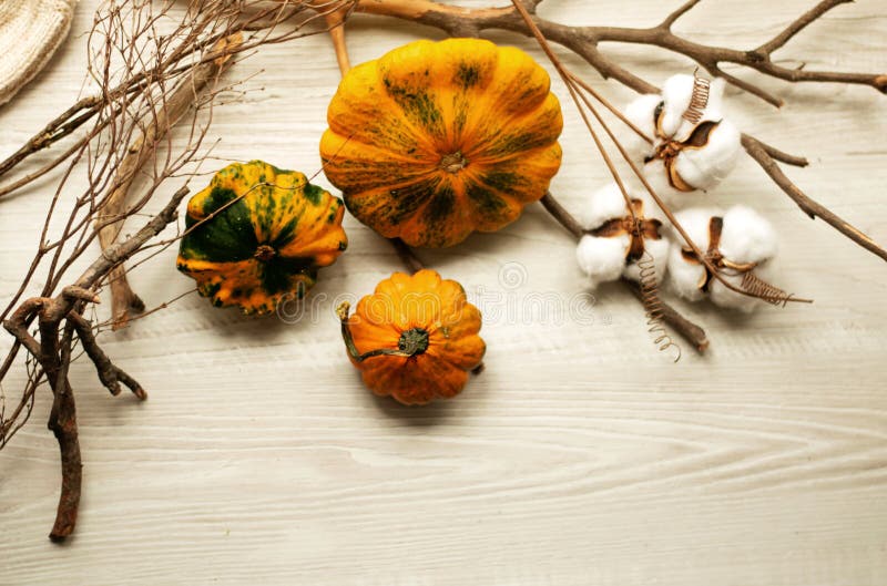 Autumn Still Life in a Rustic Style. Natural Materials Stock Image ...