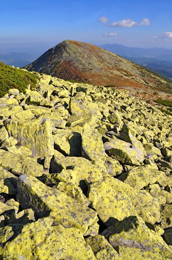 Autumn stone still-life stock image. Image of hand, cement - 52370943