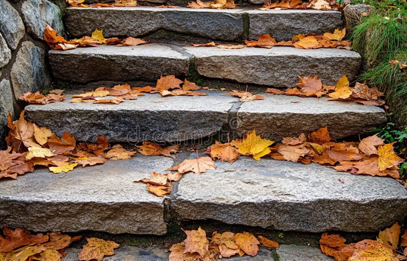 Autumn Stone Steps with Fallen Maple Leaves High Quality Image Stock ...