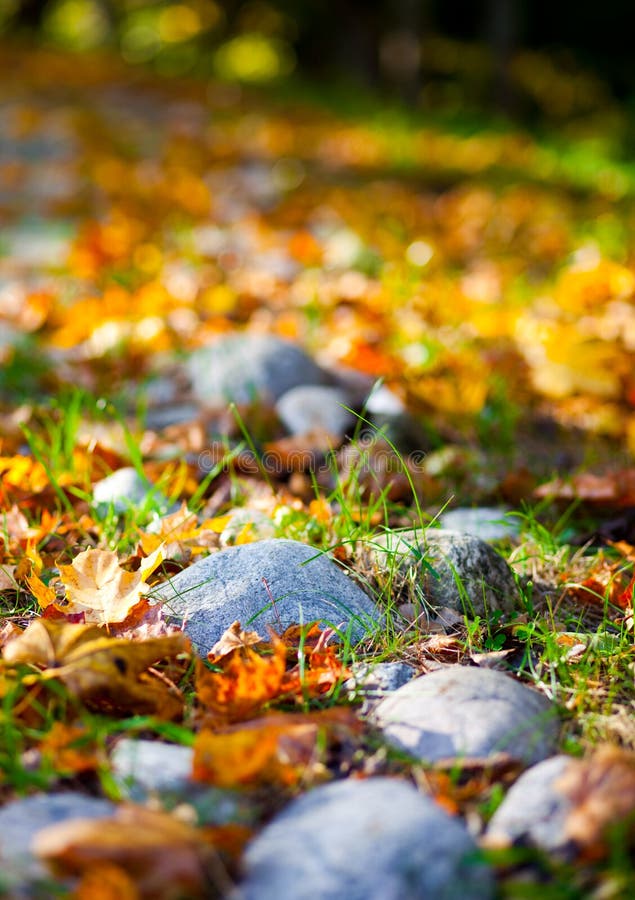Autumn stones stock image. Image of lush, color, beauty - 20907487