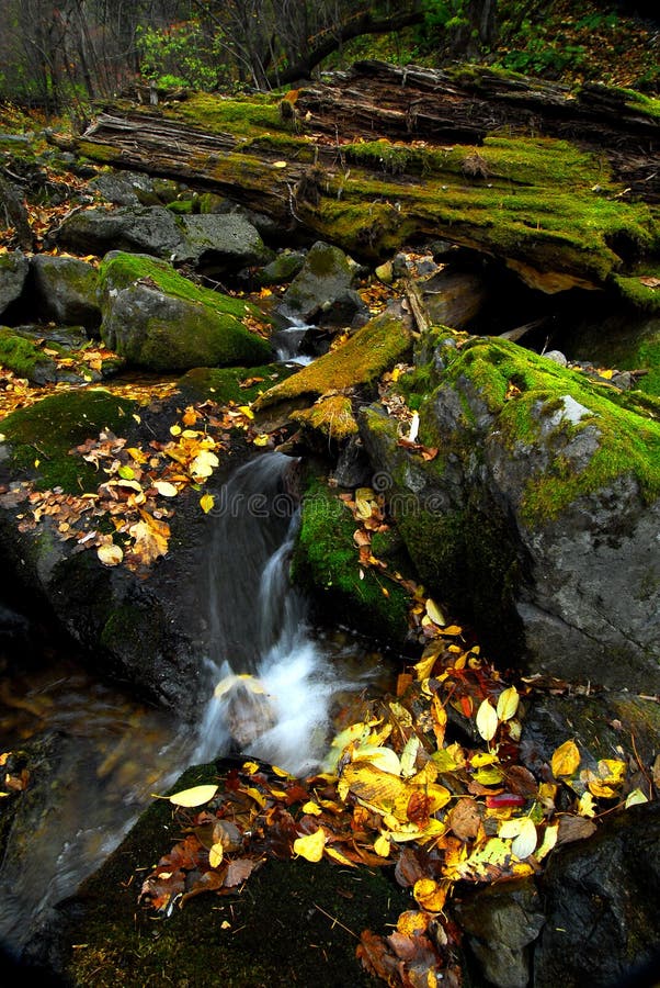 Autumn Stream stock image. Image of earth, natural, nature - 15587191