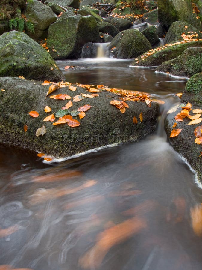 Autumn stream stock photo. Image of movement, leaves - 12425710
