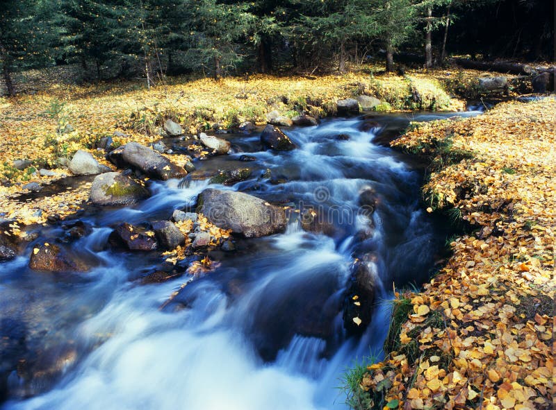 Autumn River in September stock image. Image of autumn - 5483431