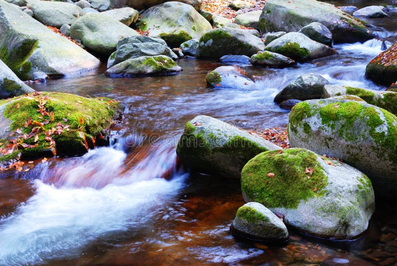 Autumn Stream stock image. Image of earth, natural, nature - 15587191