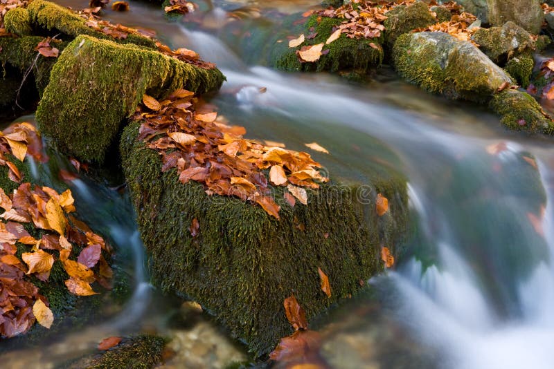 Autumn stream stock image. Image of rain, natural, autumn - 18287051