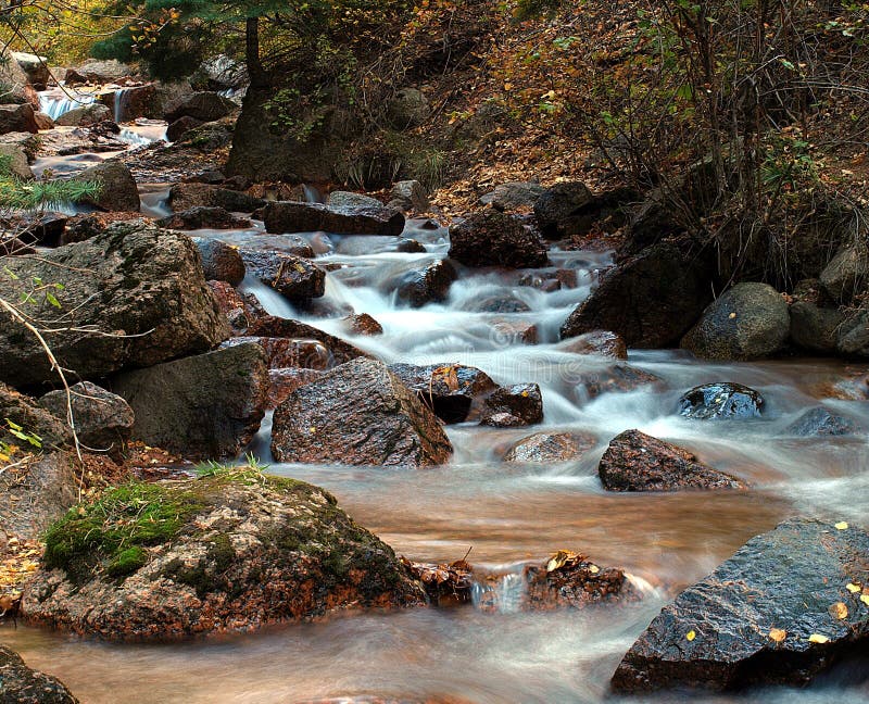 Autumn Stream stock photo. Image of foliage, creek, yellow - 21586950