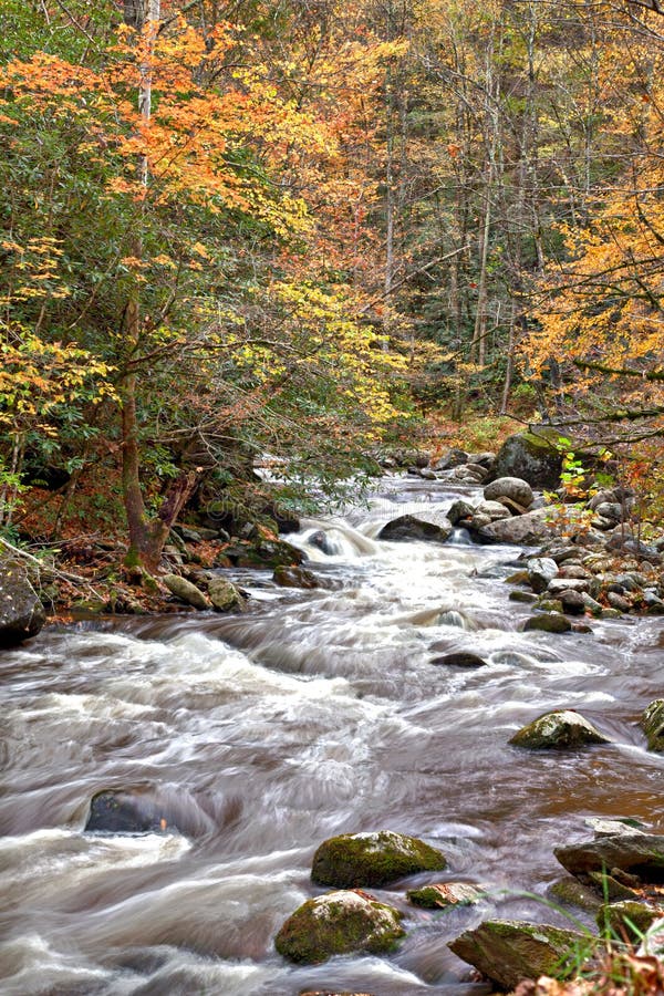 Autumn Stream with Mossy Rocks Stock Photo - Image of moss, landscape ...